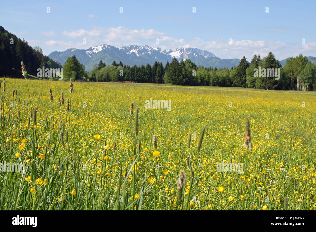 Fen farming hi-res stock photography and images - Alamy