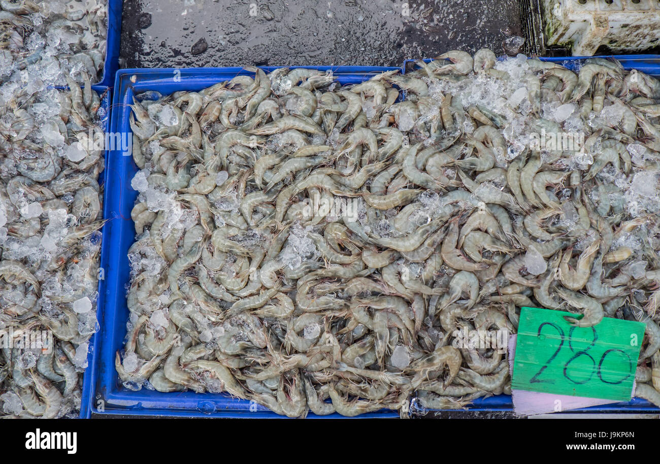 Shrimp market hi-res stock photography and images - Alamy
