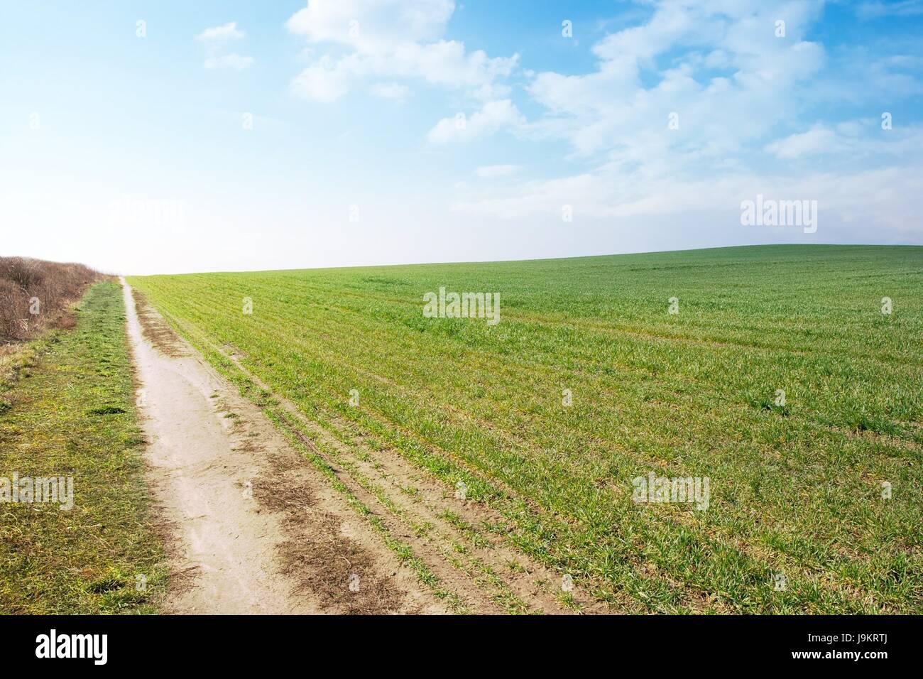 agricultural, agriculture, farming, field, growth, land, grow, realty ...
