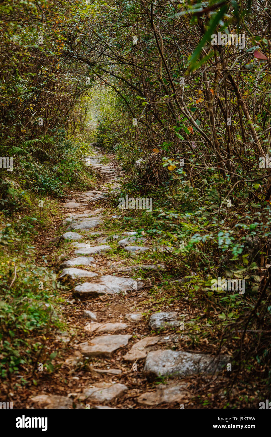 The ancient stone path in the mountain Stock Photo - Alamy