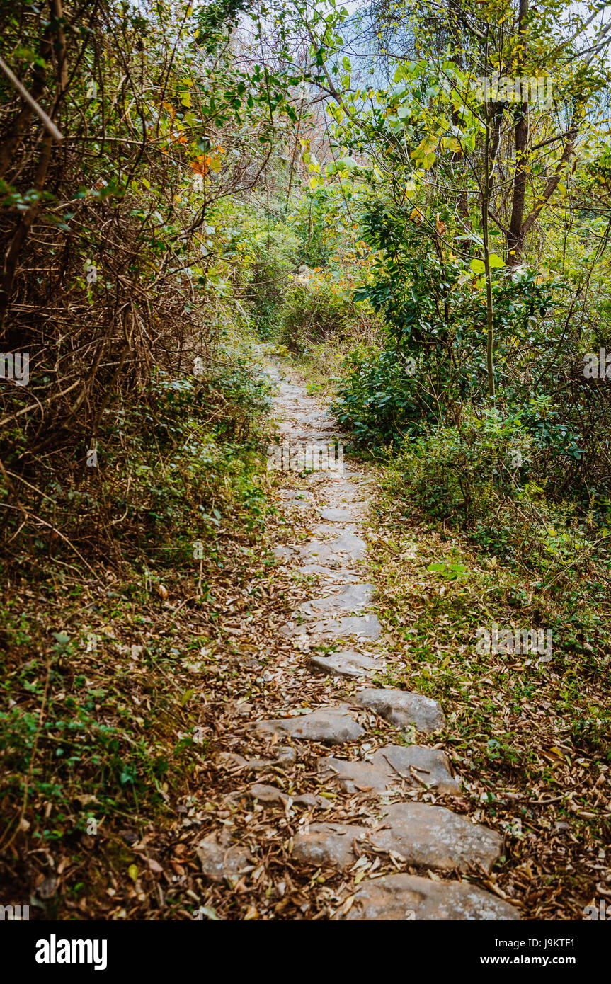 The ancient stone path in the mountain Stock Photo - Alamy