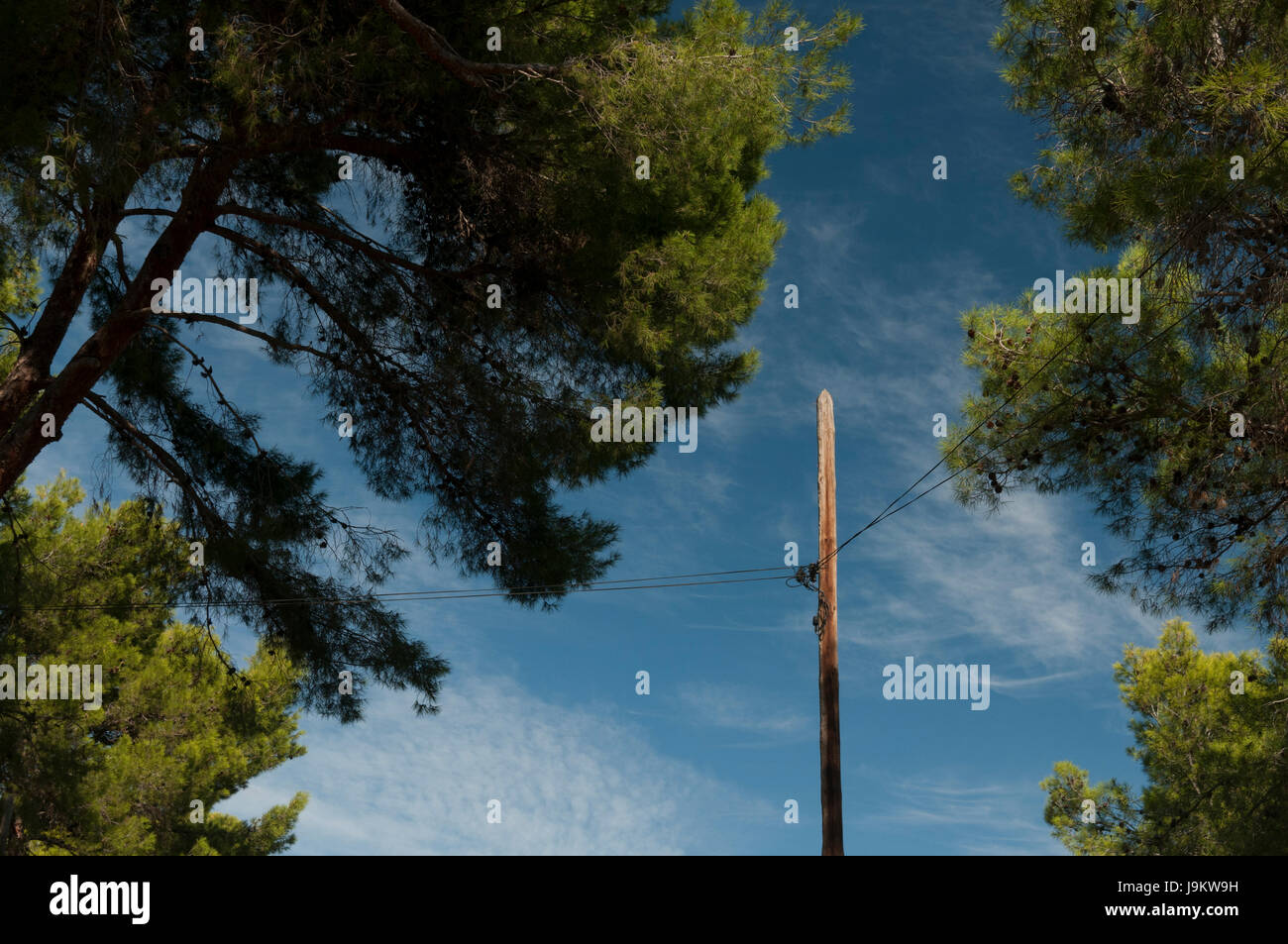 Wooden telephone / electric post Stock Photo - Alamy