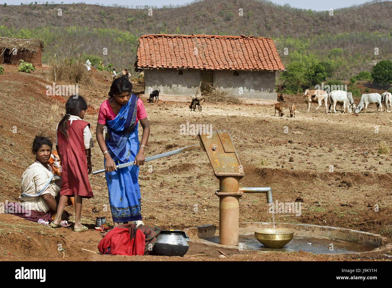 woman pumping hand pump, dindori, madhya pradesh, India, Asia Stock ...