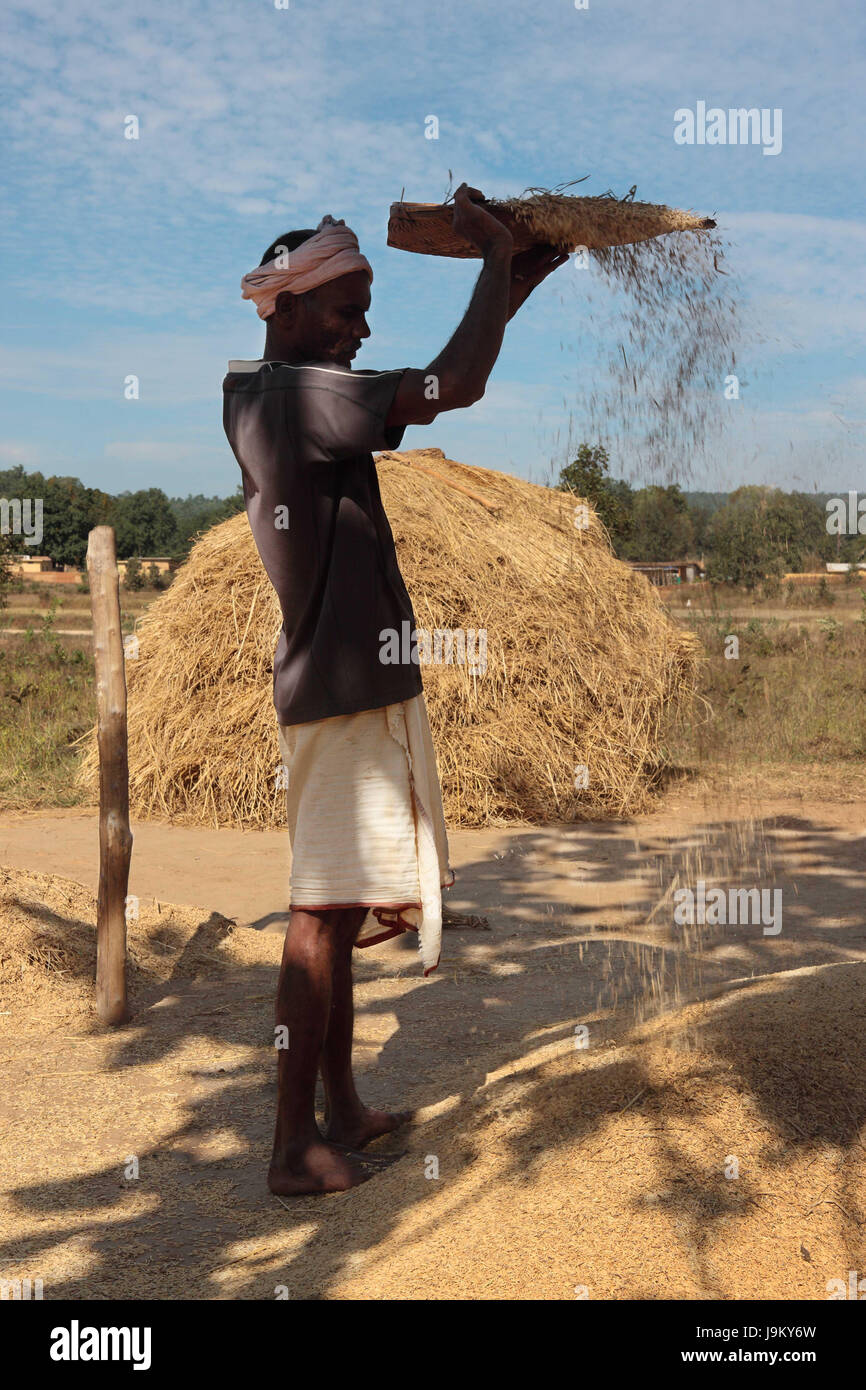 Winnowing hi-res stock photography and images - Alamy