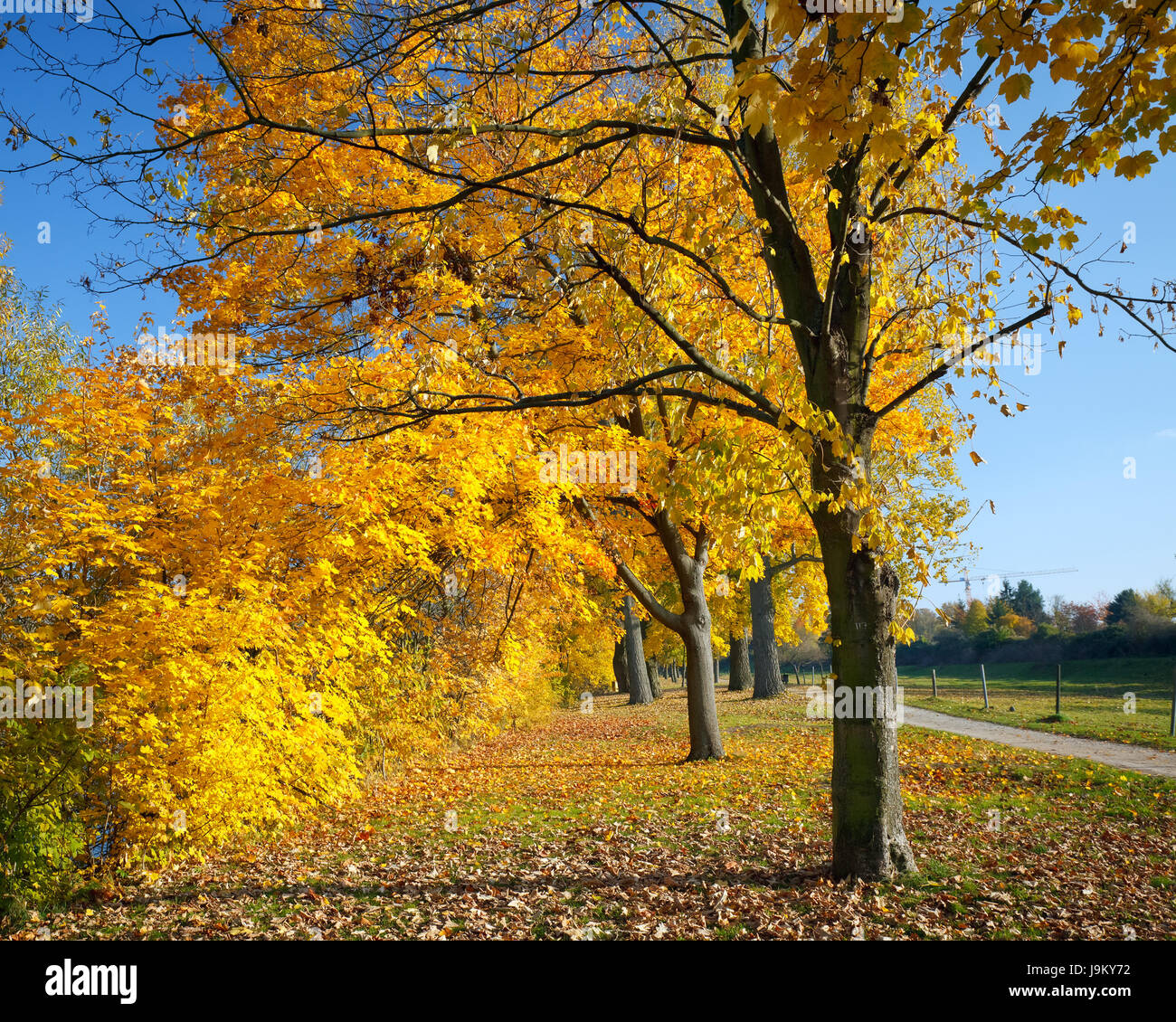 blue, beautiful, beauteously, nice, environment, enviroment, colour ...