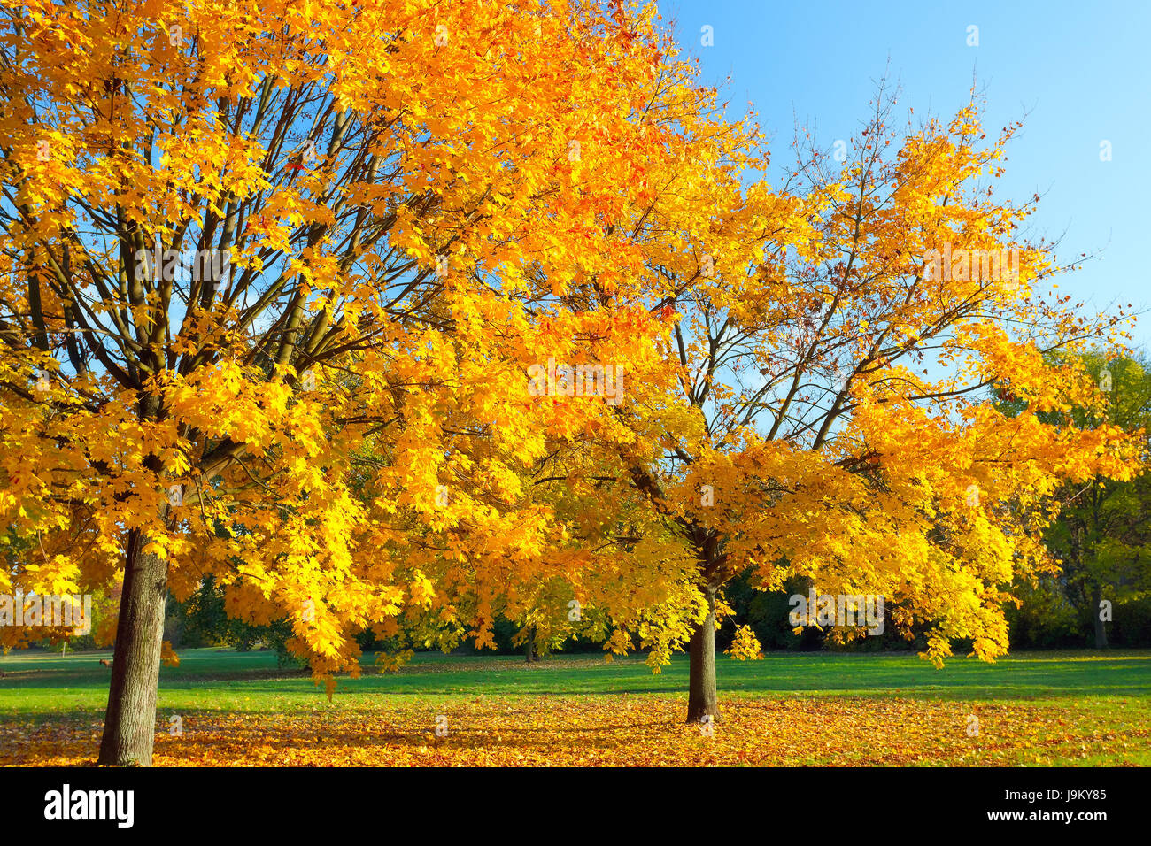 blue, beautiful, beauteously, nice, environment, enviroment, colour ...