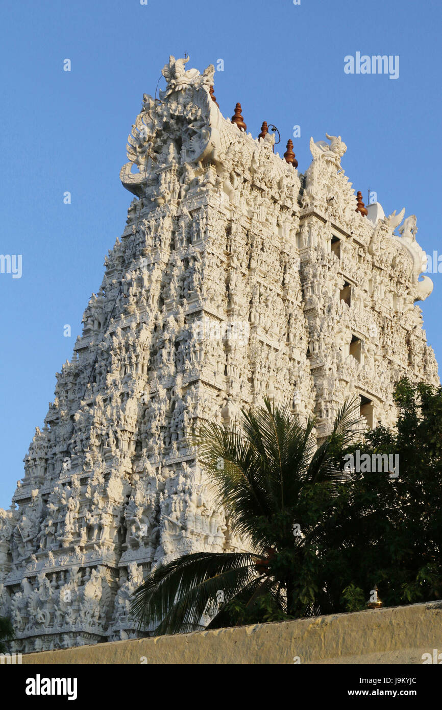 suchindram temple, kanyakumari, tamil nadu, India, Asia Stock Photo - Alamy