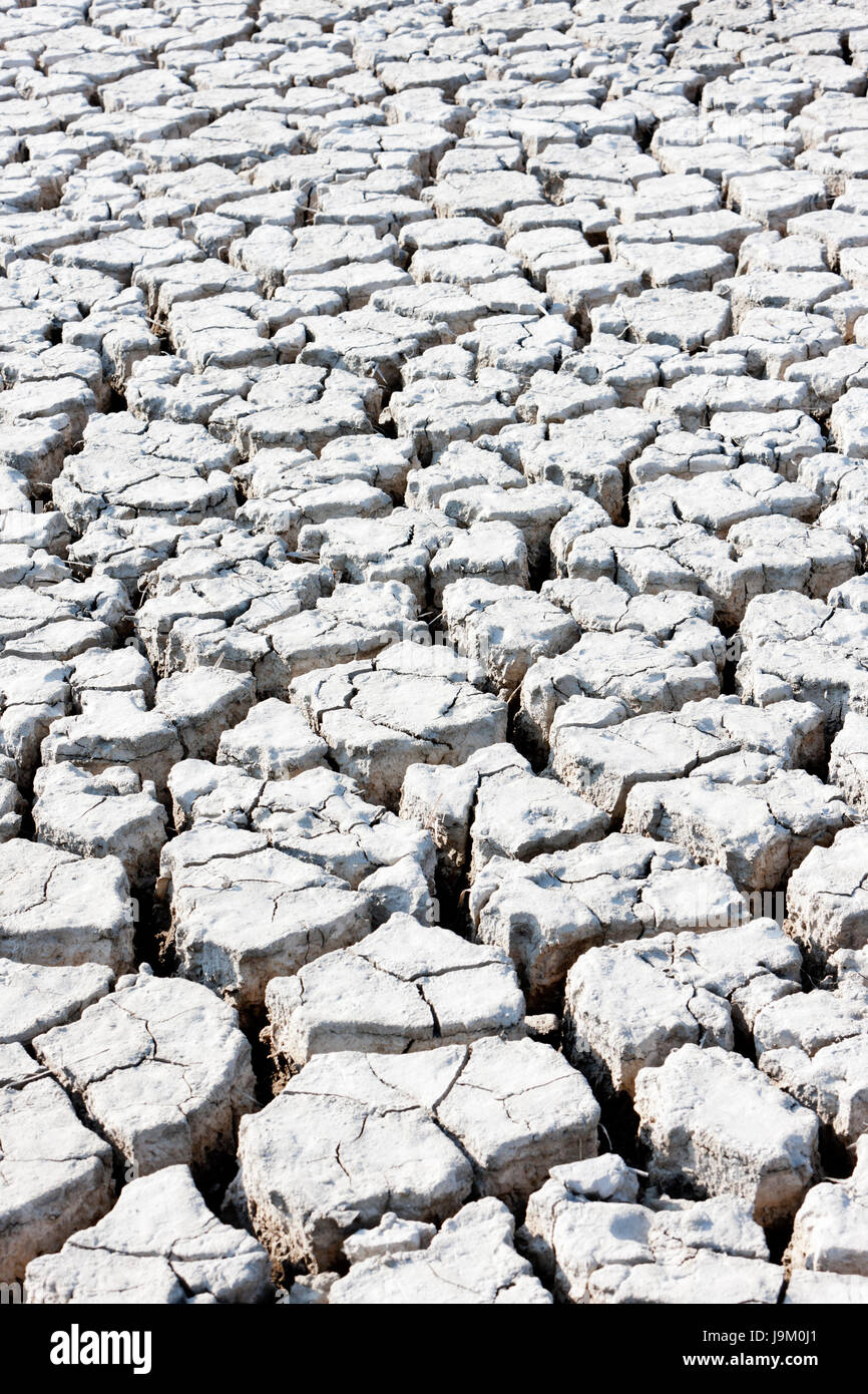 dry, dried up, barren, land, realty, ground, backdrop, background ...