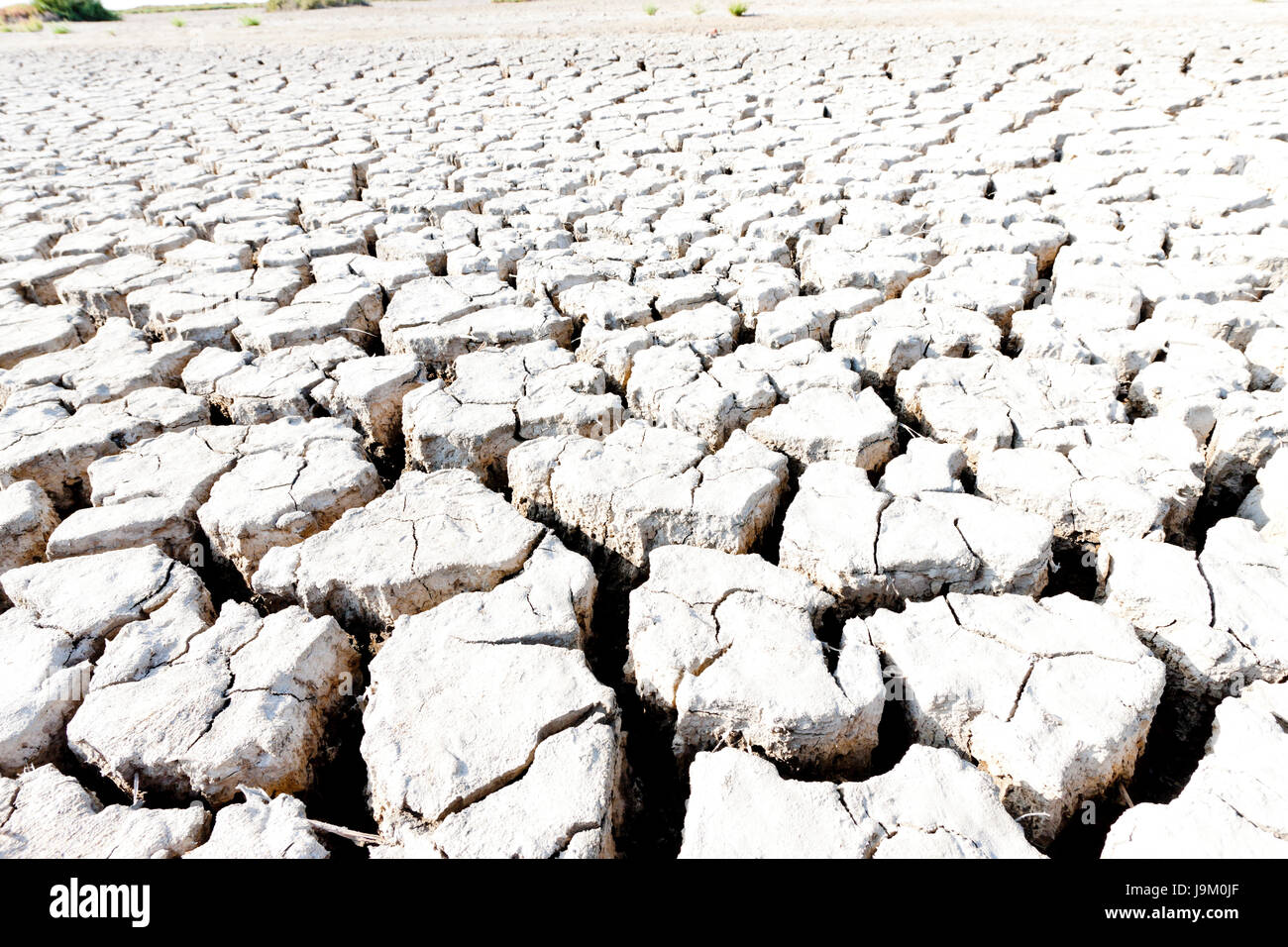 dry, dried up, barren, land, realty, ground, backdrop, background ...
