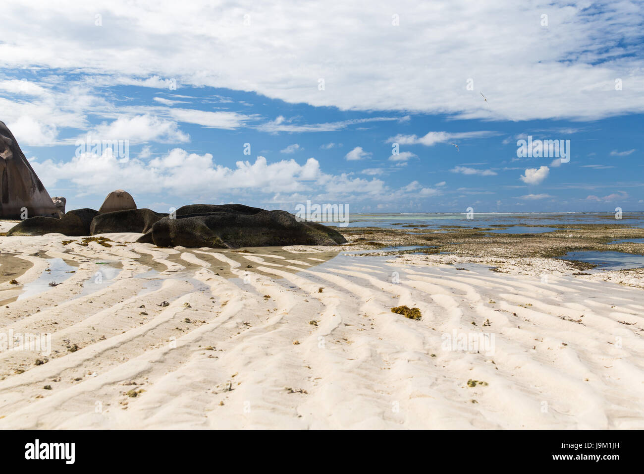 rocks on seychelles island beach in indian ocean Stock Photo - Alamy