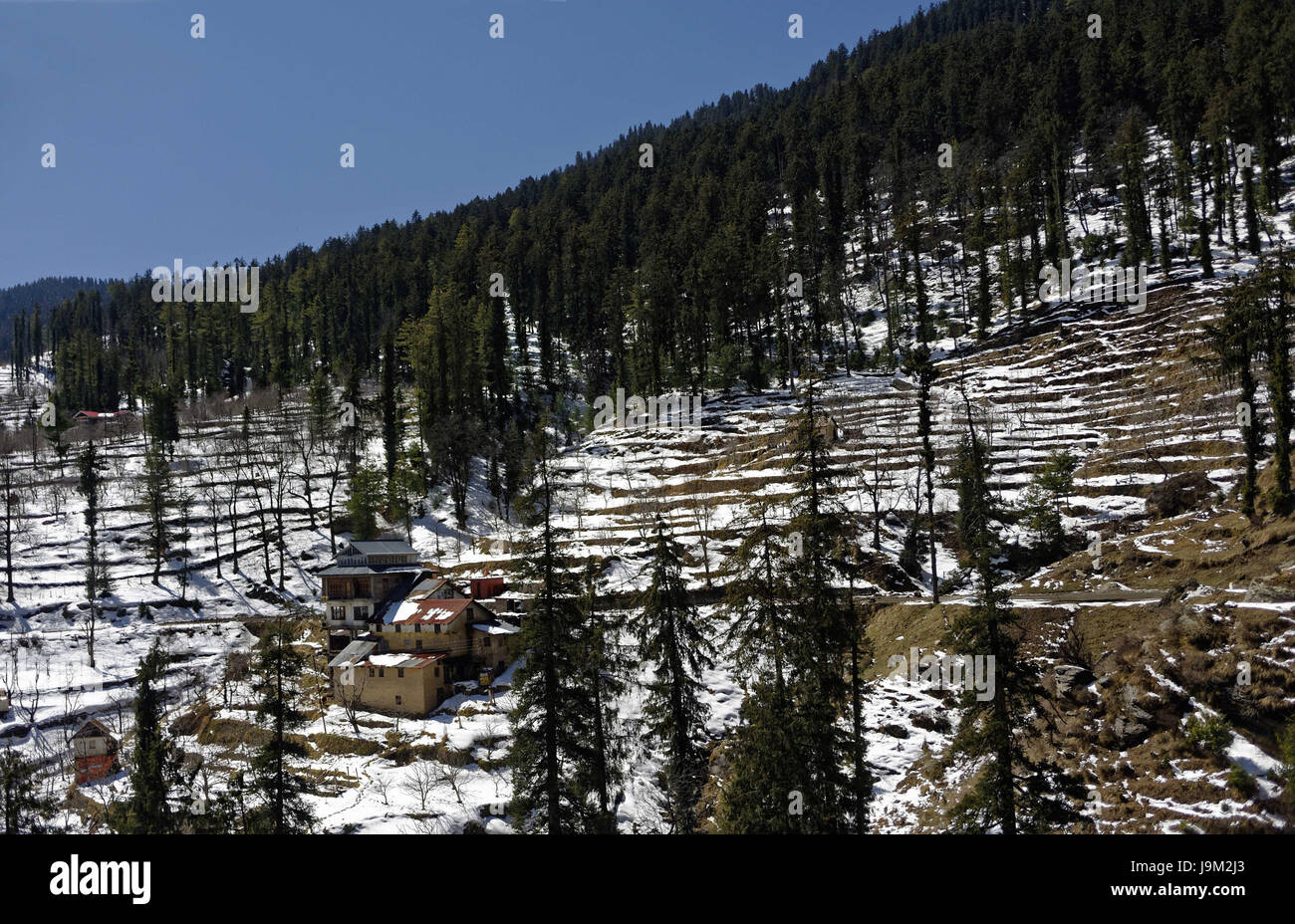 snow on hills at himachal pradesh, india, Asia Stock Photo - Alamy