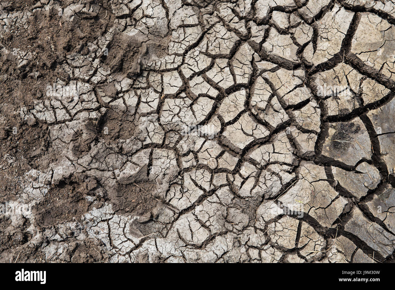 dry cracked ground surface Stock Photo - Alamy