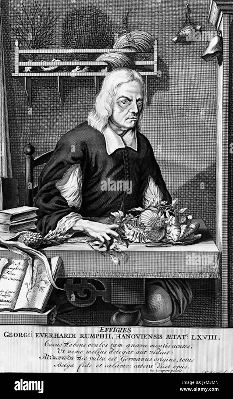 Georg rumphius hi-res stock photography and images - Alamy
