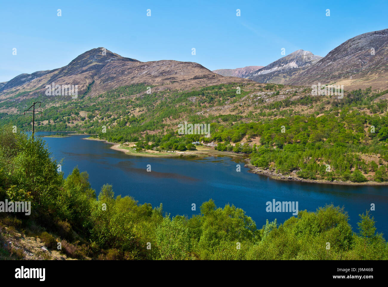 blue, tree, trees, mountains, fjord, scotland, highlands, fresh water ...