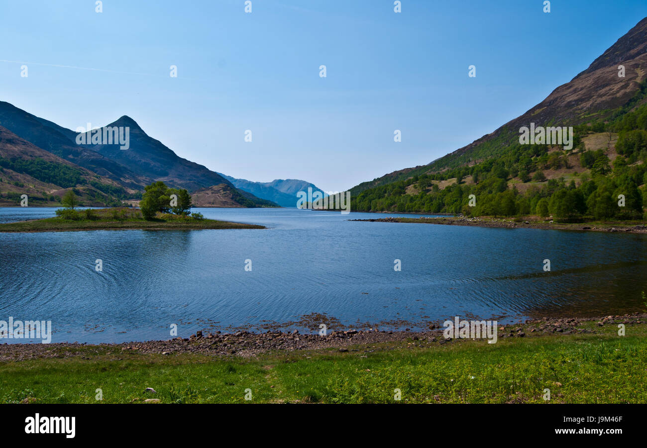 blue, tree, trees, mountains, fjord, scotland, highlands, fresh water ...