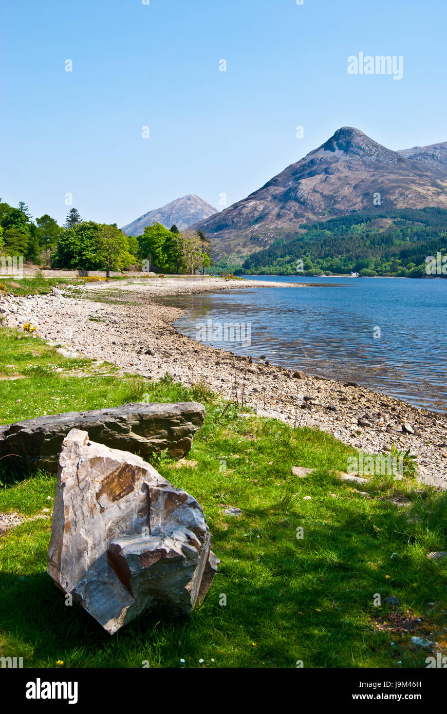 blue, tree, trees, mountains, fjord, scotland, highlands, fresh water ...