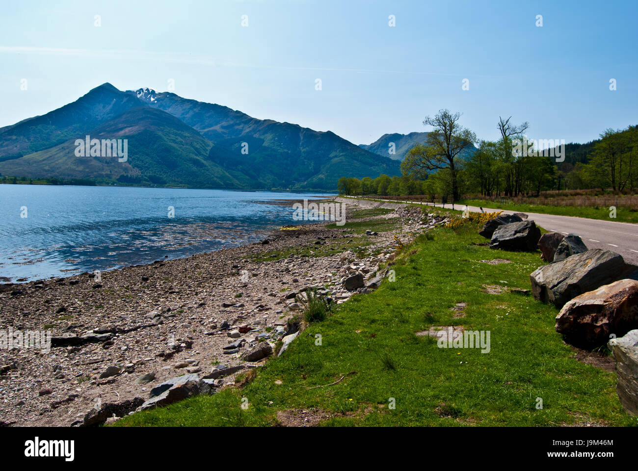 blue, tree, trees, mountains, fjord, scotland, highlands, fresh water ...