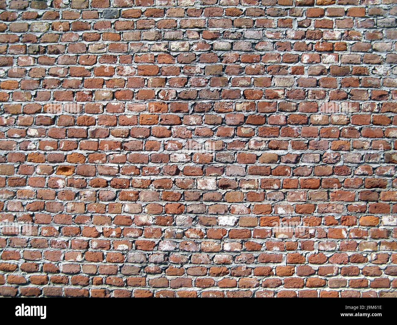 wall, brick, english, old, ancient, bond, flemish, red, wall, brick ...