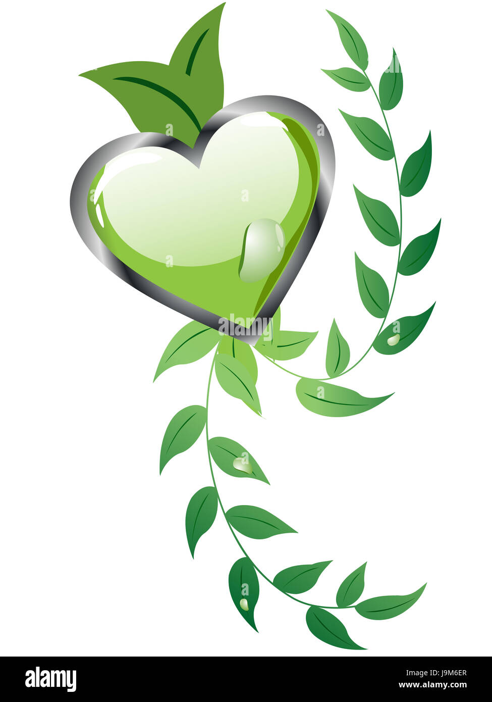 leaf, leaves, wedding, marriage, marriage ceremony, wedding ceremony ...