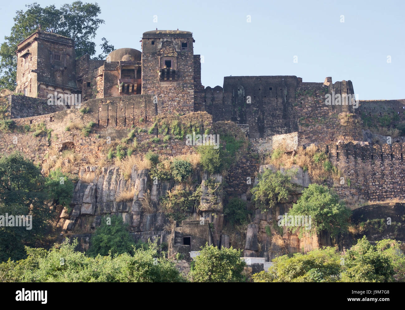 Ranthambore nationalpark hi-res stock photography and images - Alamy
