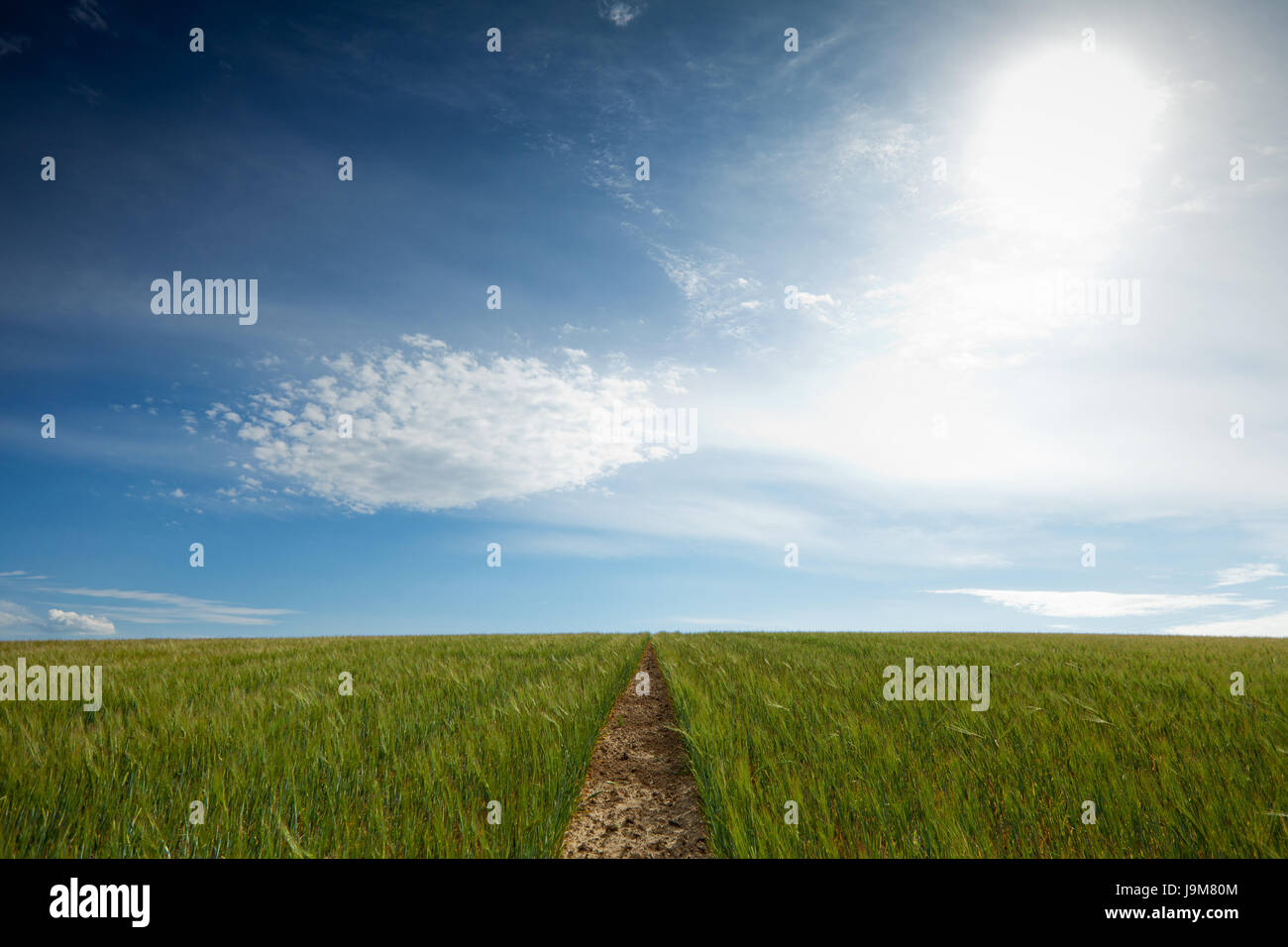 path to the horizon Stock Photo - Alamy