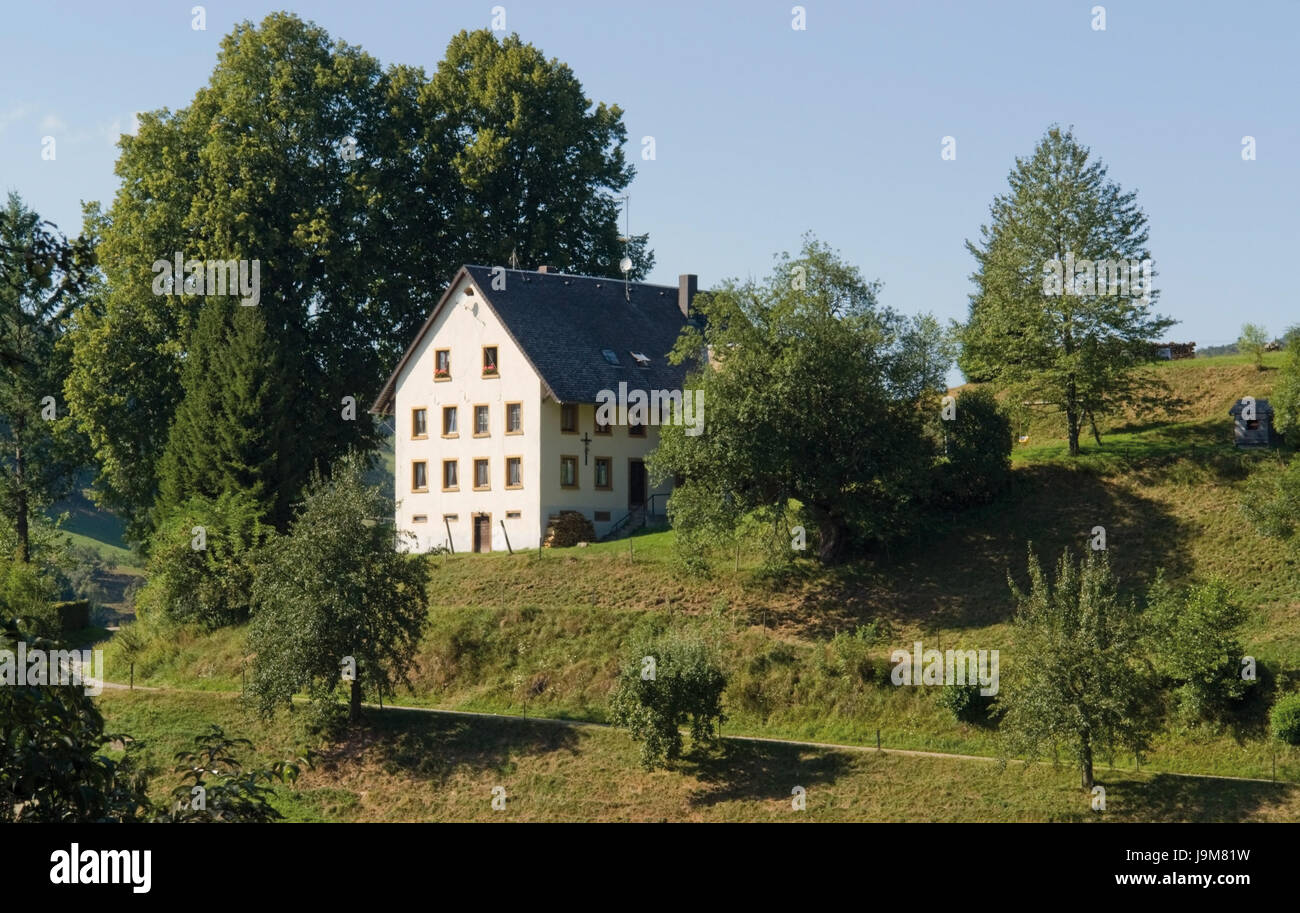 black forest, farmhouse, idyllic, nobody, forest, bathing, corridor ...