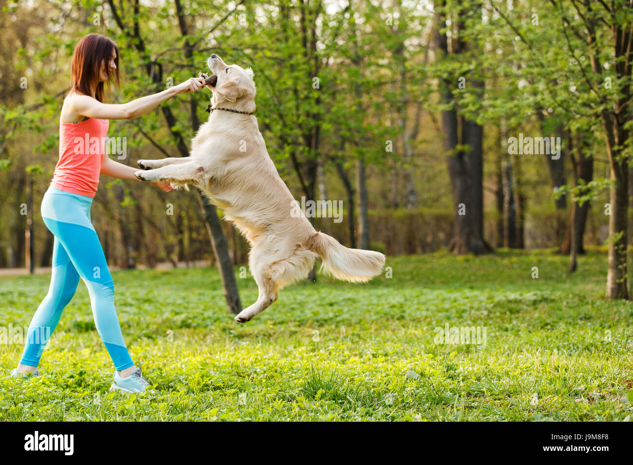 Sporty woman playing with labrador Stock Photo - Alamy