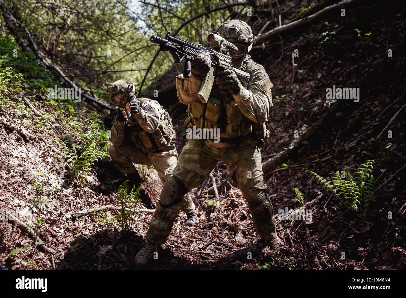 Portrait of officers on battlefield Stock Photo - Alamy