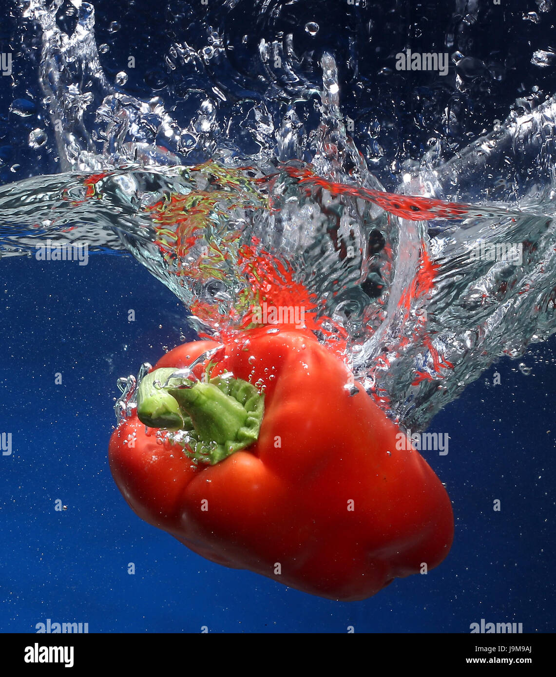 Cheff vegetables hi-res stock photography and images - Alamy