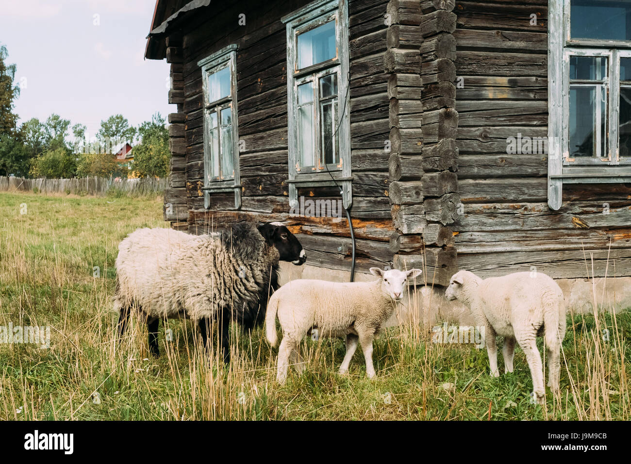 Russian farming house hi-res stock photography and images - Alamy