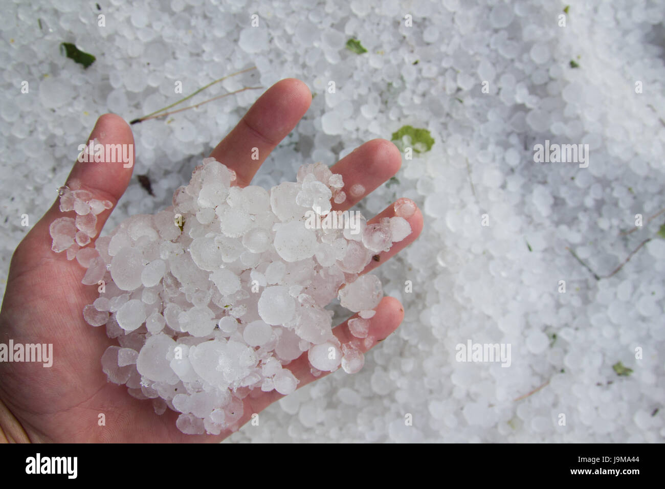 insurance, hail, damage, damages, detriments, hailstone, danger, hand ...