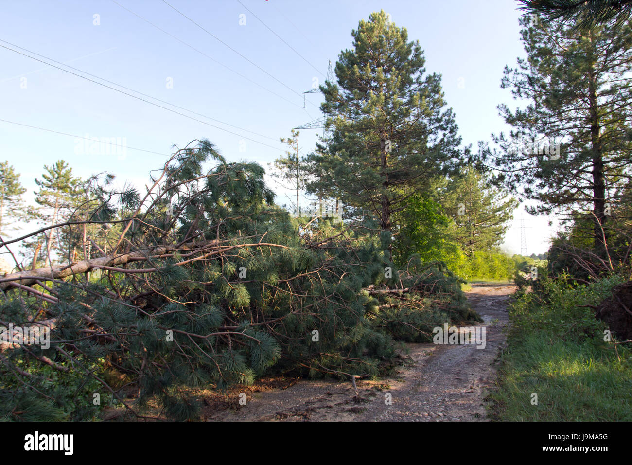 thunder-storm, thunderstorm, thundreous, hurricane, tornado, storm ...
