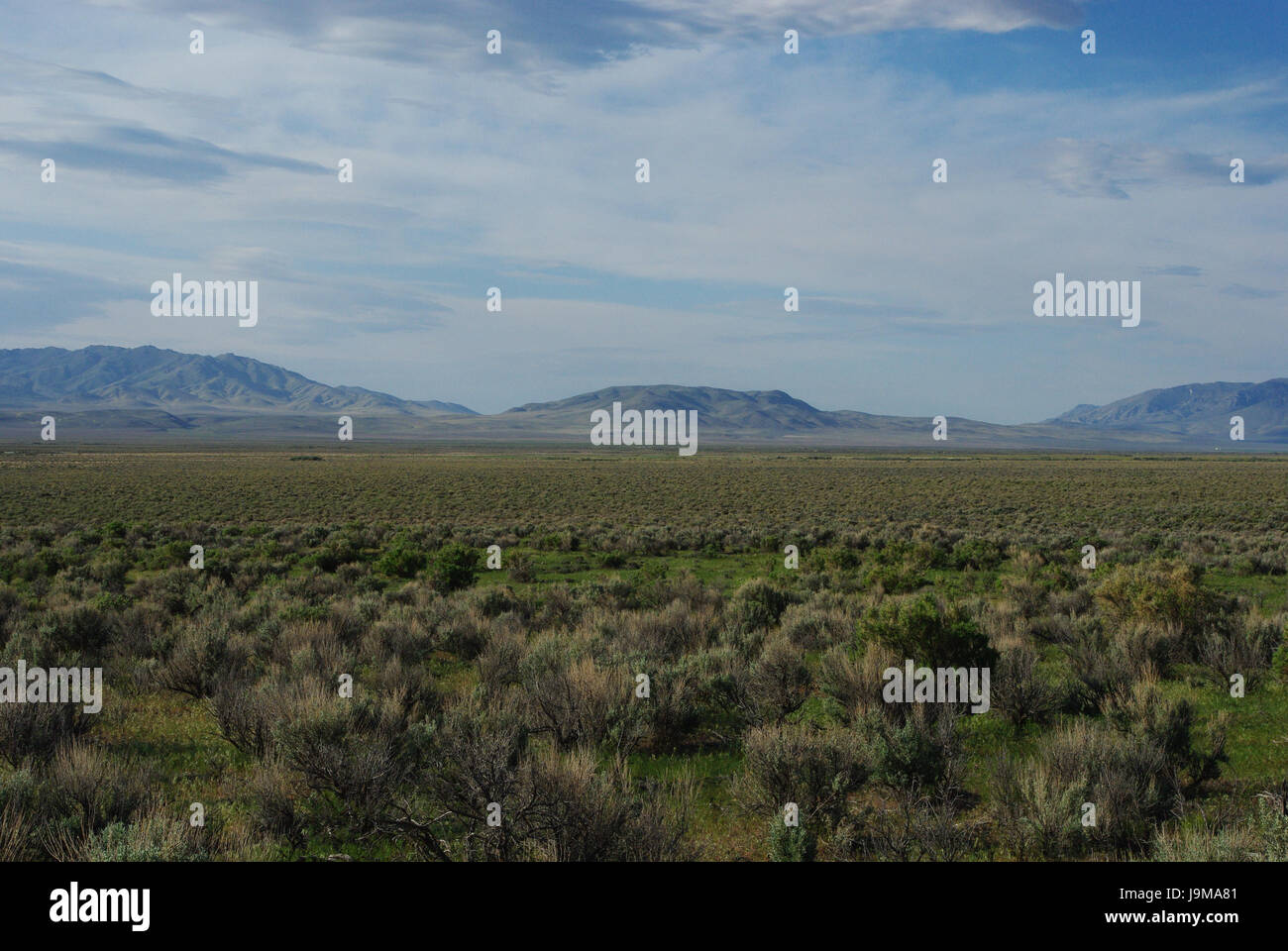 high desert scenery near fields,oregon Stock Photo - Alamy