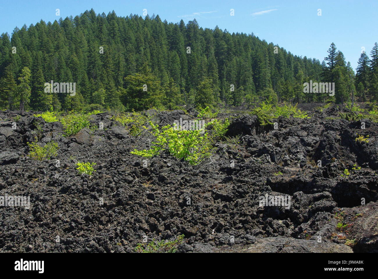 green, shrub, lava, volcanic, vulcan, volcano, blue, tree, green, black ...