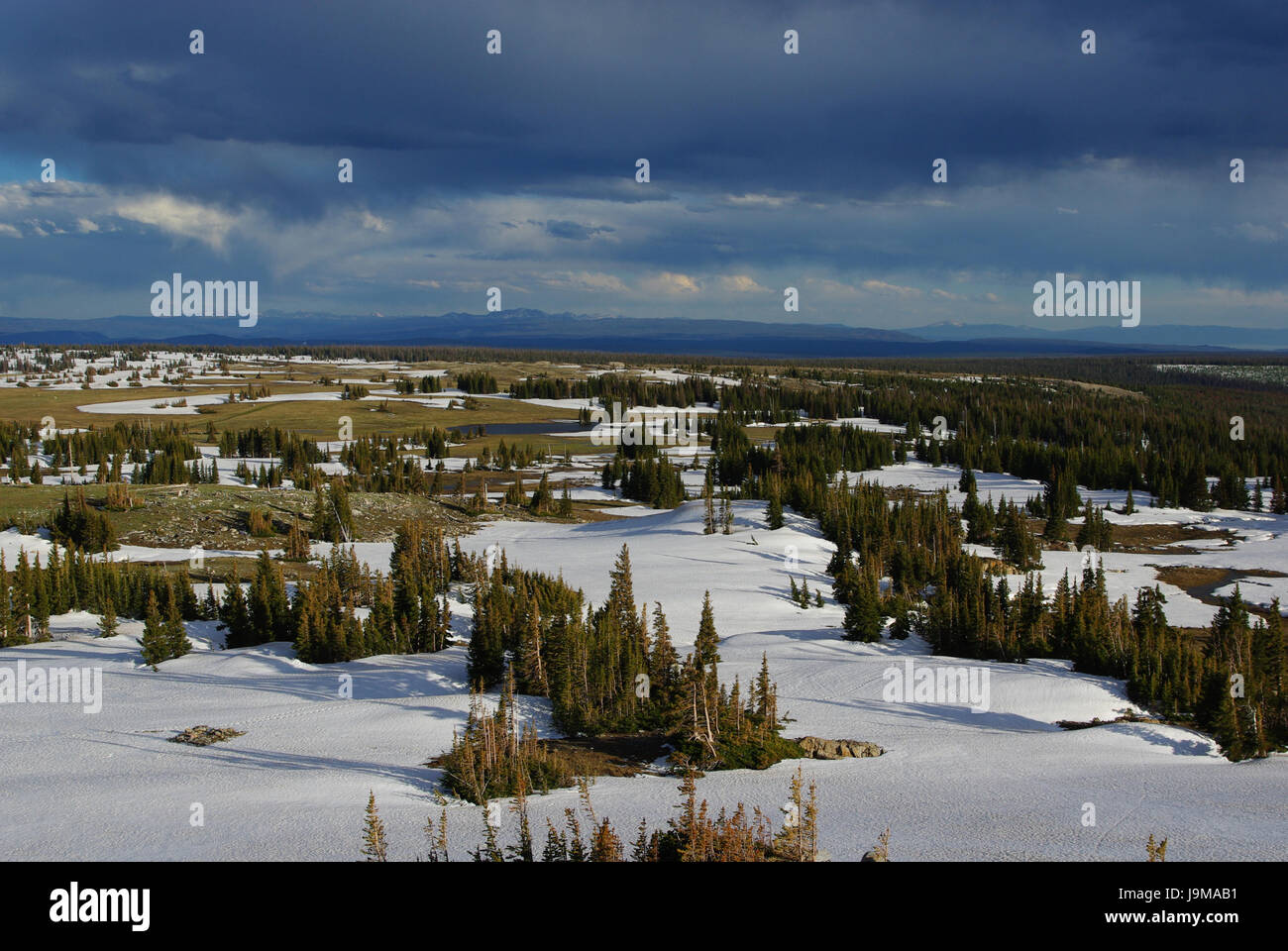 tree, sight, view, outlook, perspective, vista, panorama, lookout Stock ...