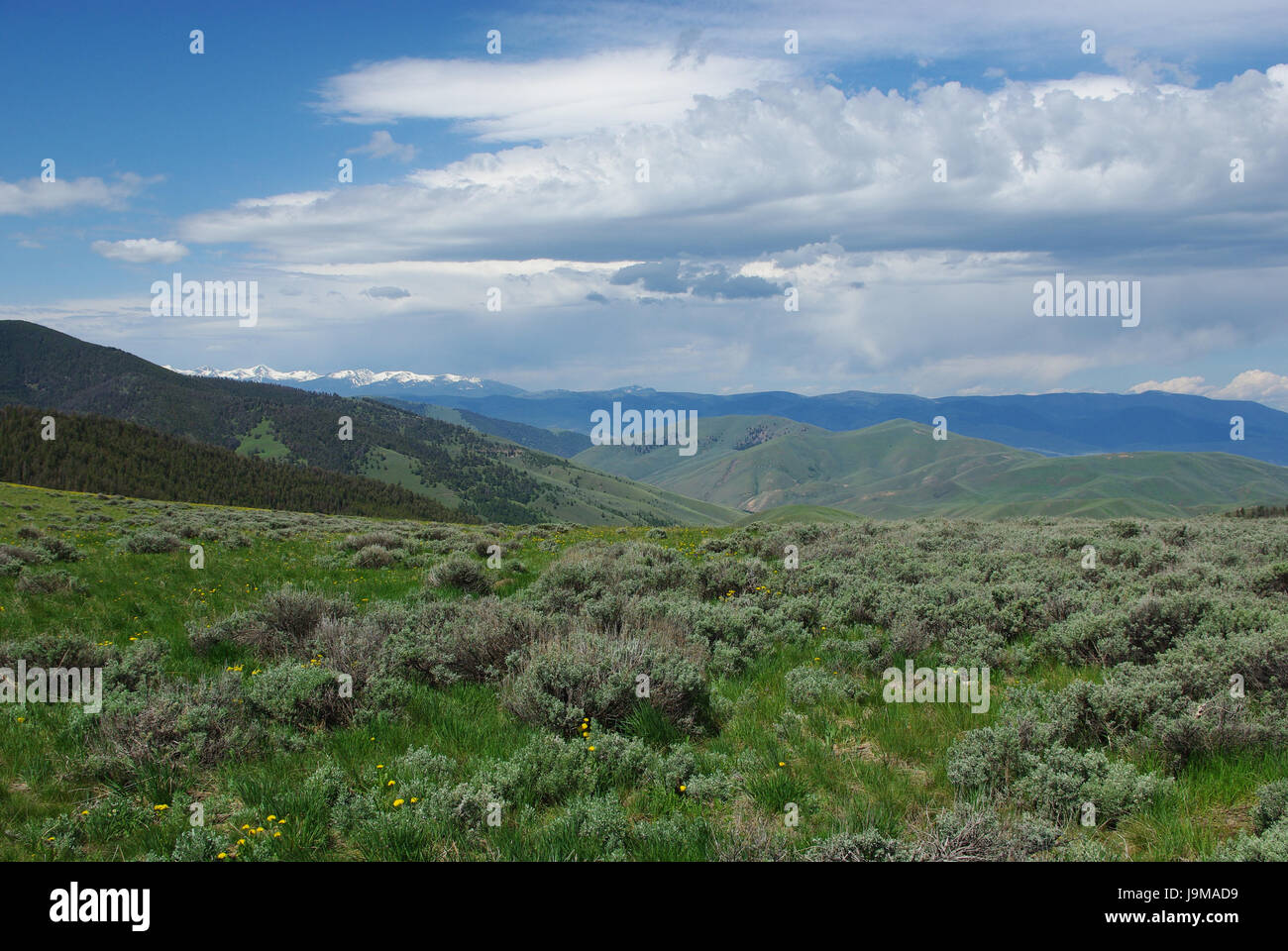 shrub, bush, mountain range, high mountains, mountain, green, cloud ...