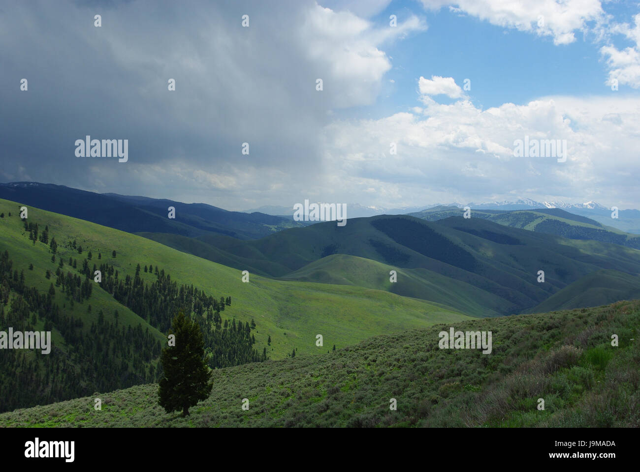 Lemhi range hi-res stock photography and images - Alamy