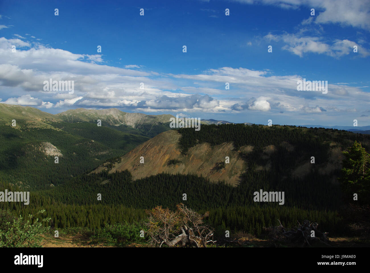 formation, rock, conifer, high mountains, mountain, blue, green, cloud ...
