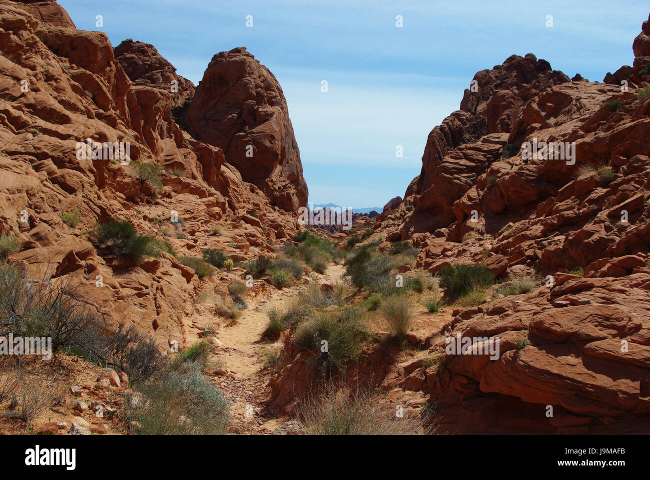 blue, desert, wasteland, formation, rock, shrub, firmament, sky, blue ...