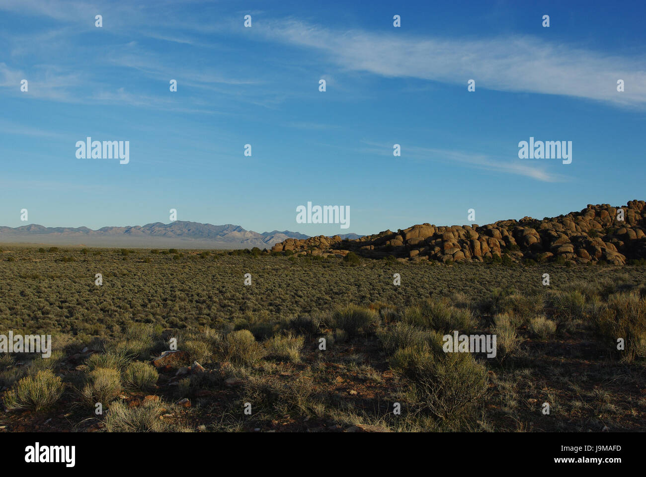desert, wasteland, width, steppe, shrub, bush, blue, desert, wasteland ...