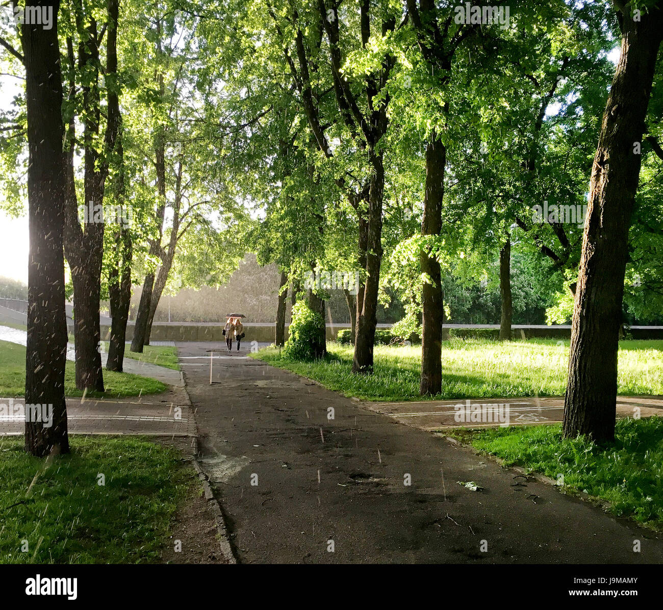 Warm summer rain hi-res stock photography and images - Alamy
