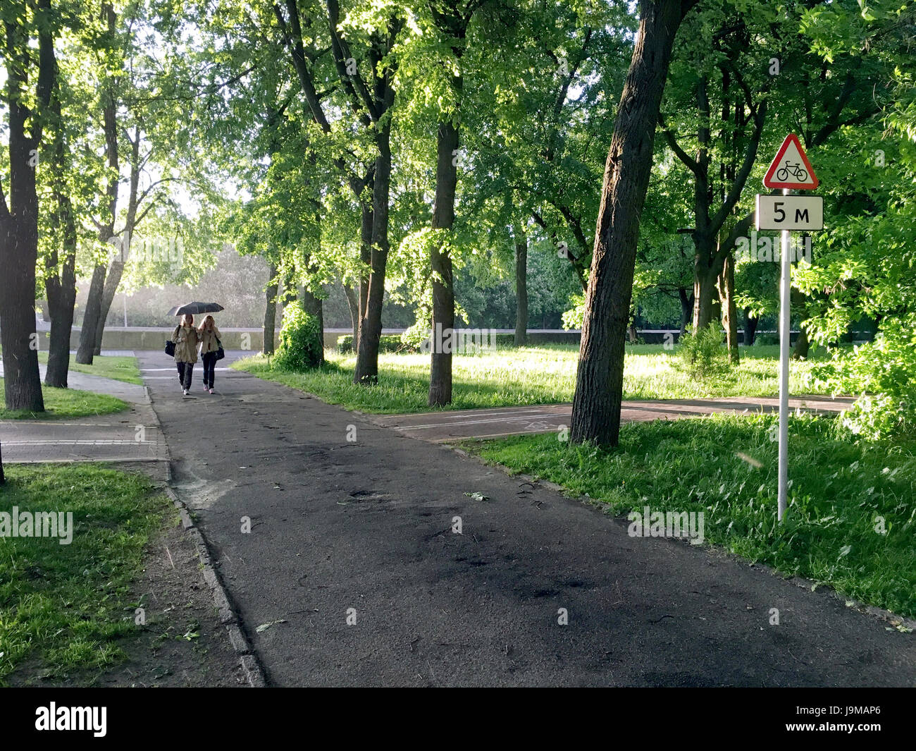 Warm summer rain hi-res stock photography and images - Alamy