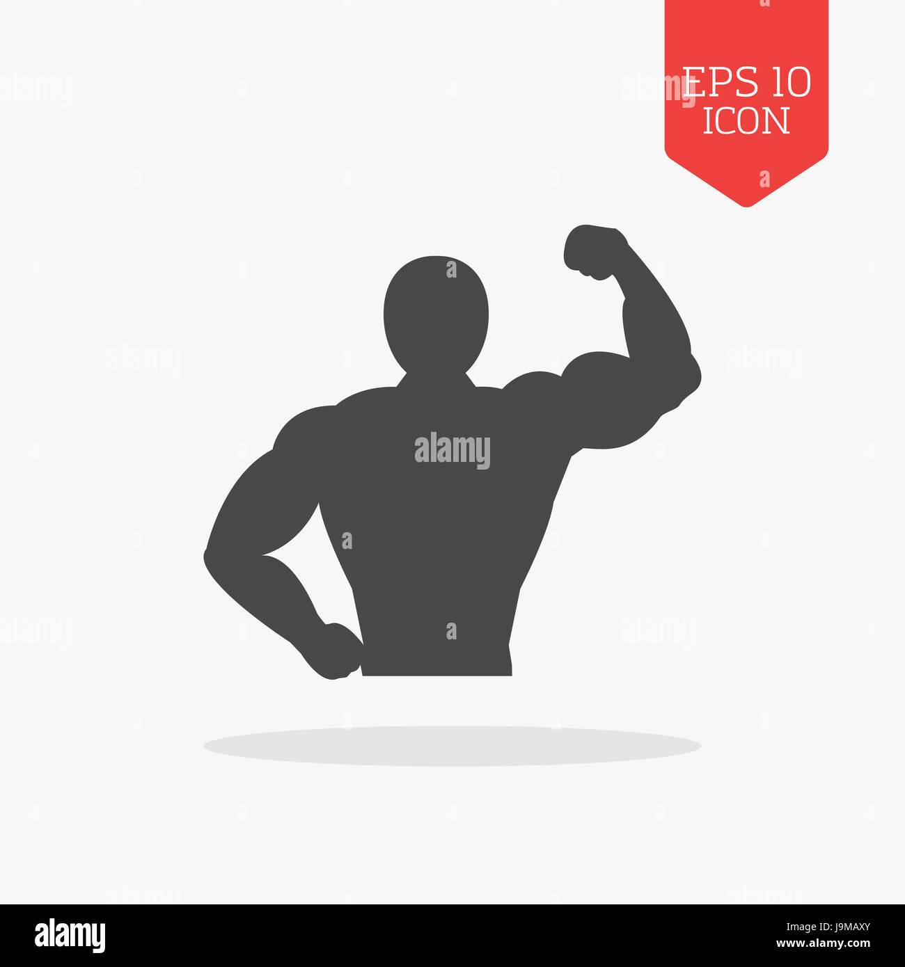 Muscle body icon. Bodybuilding concept. Flat design gray color symbol ...
