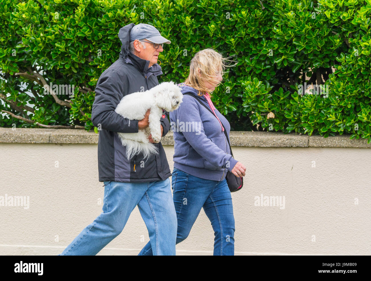 Carrying a dog Stock Photo - Alamy