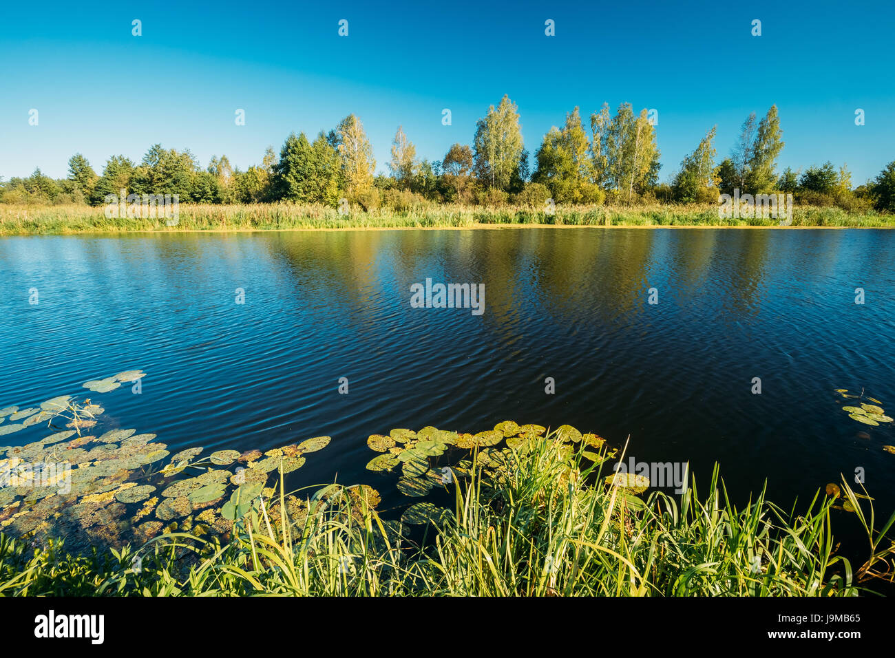 Pond lake river hi-res stock photography and images - Alamy