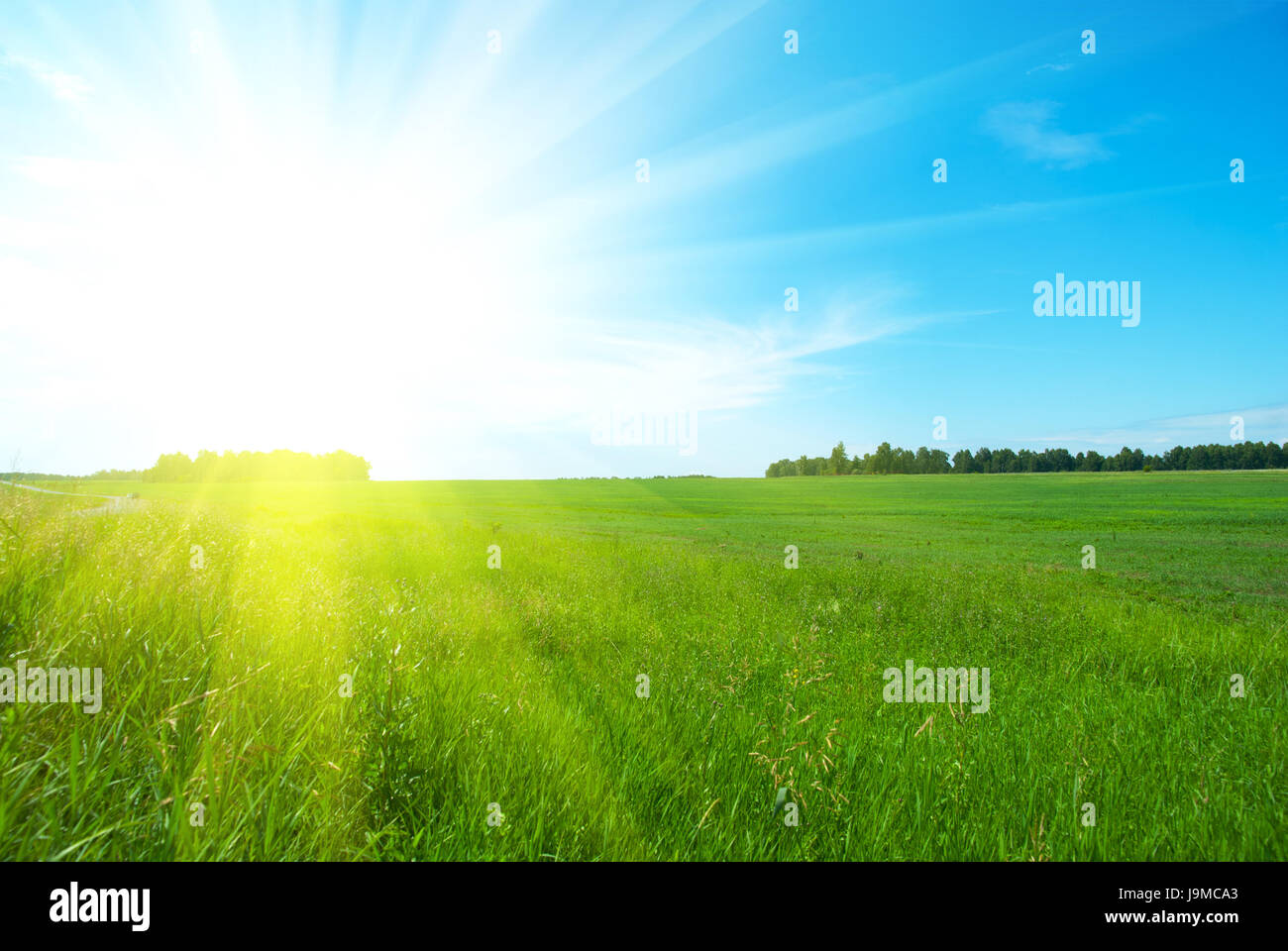 blue, beautiful, beauteously, nice, environment, enviroment, colour ...