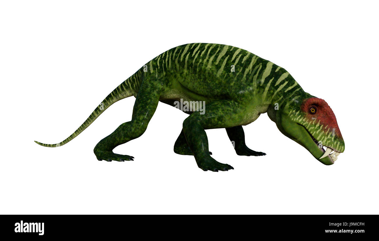 Therapsid hi-res stock photography and images - Alamy