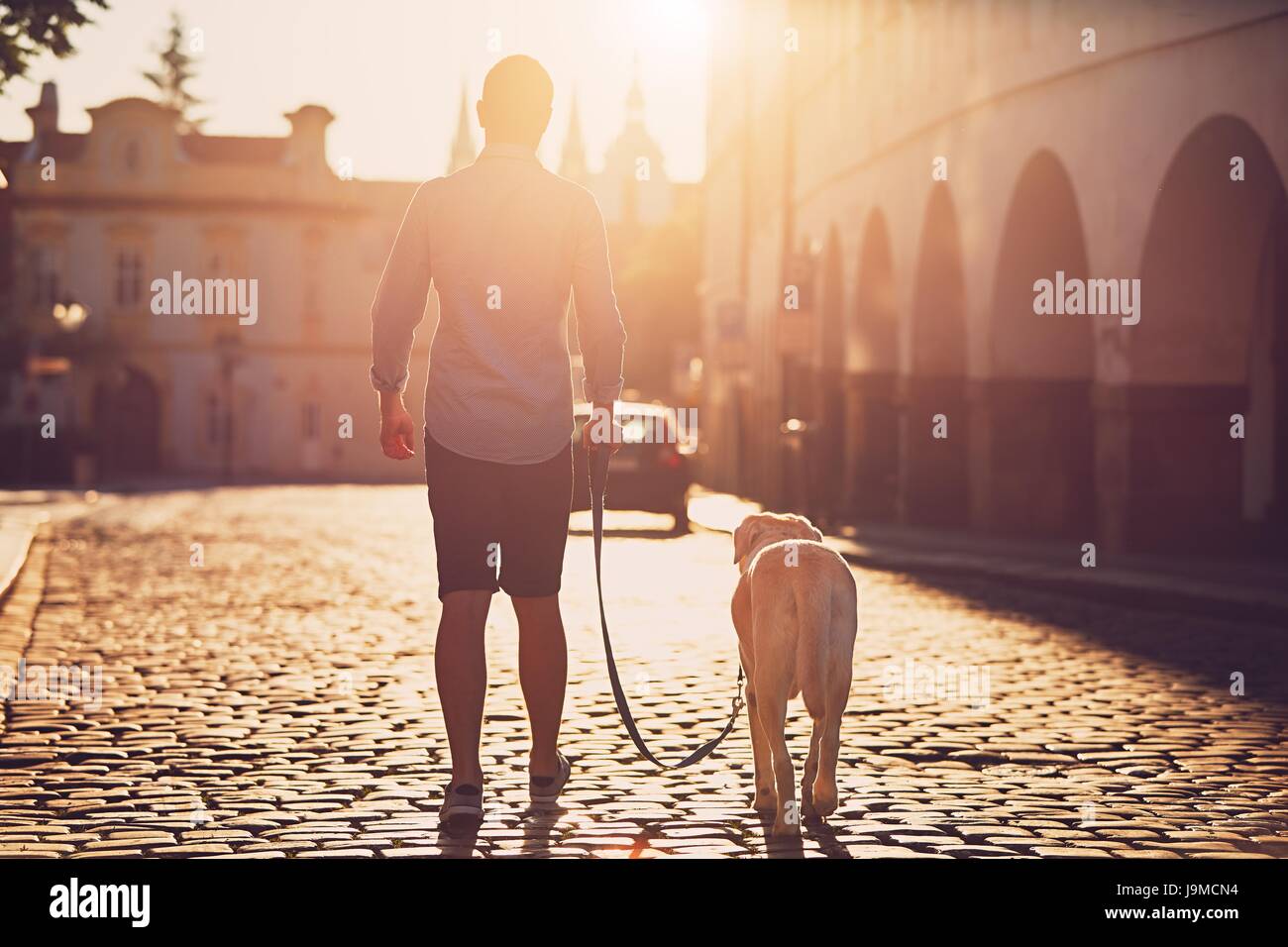 Old man walking dog hi-res stock photography and images - Alamy