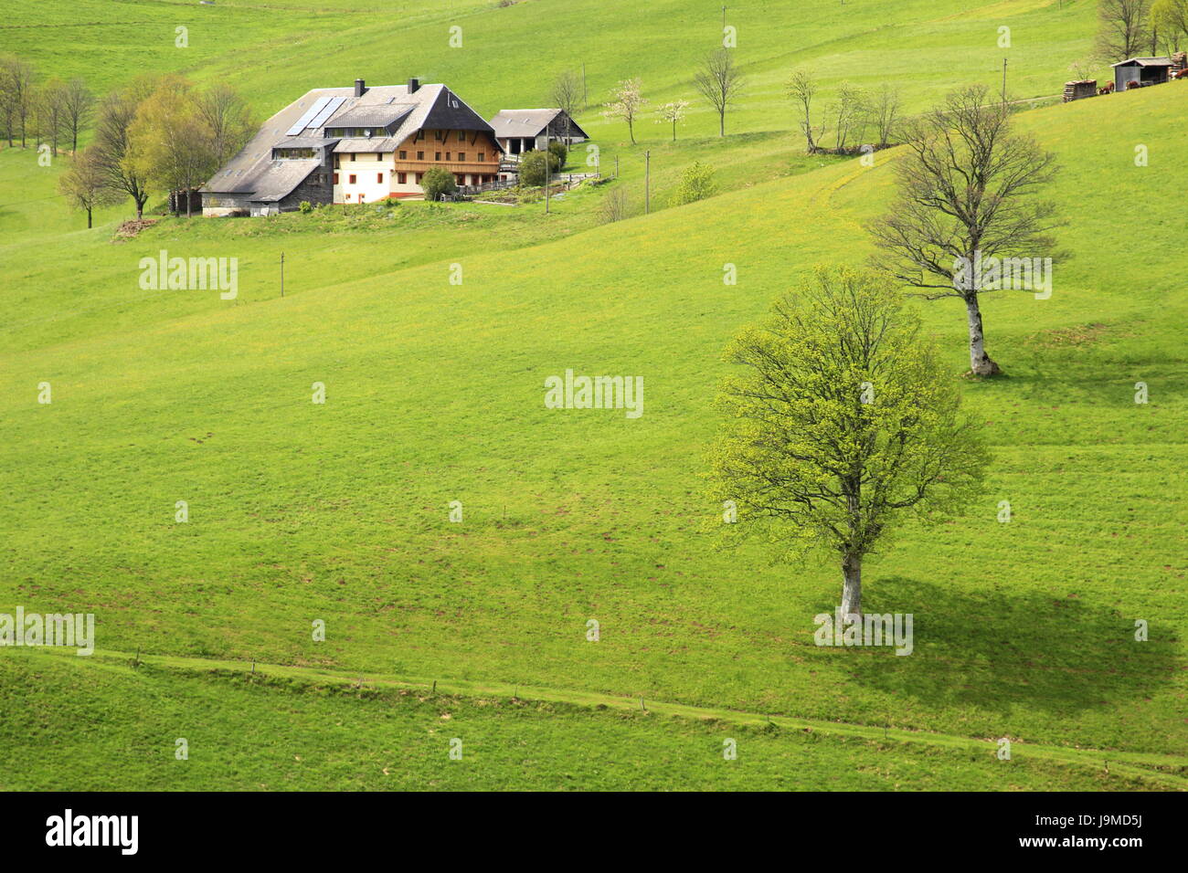 agriculture, farming, yard, typical, black forest, farm, homestead ...