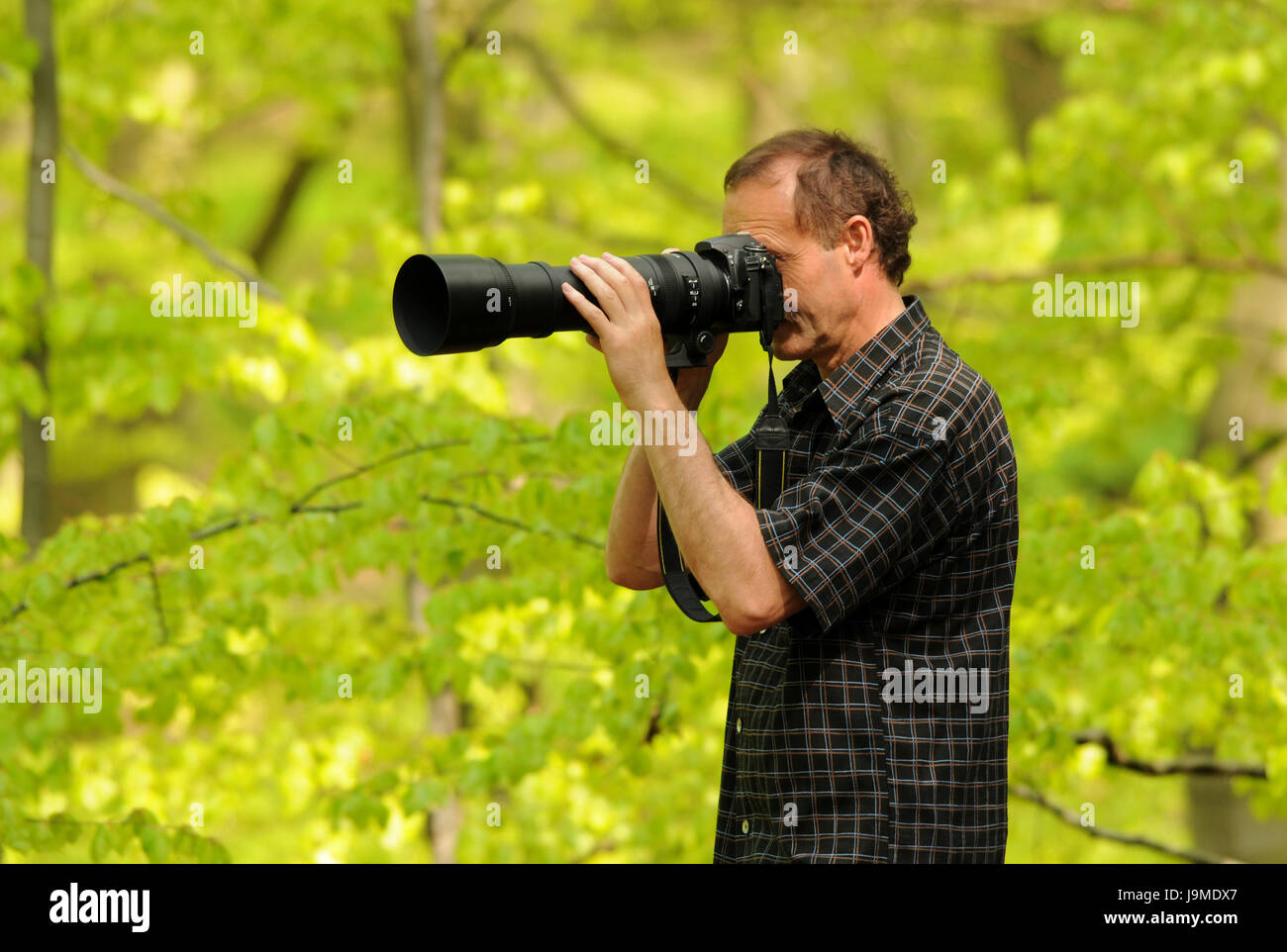 Nikon photos hi-res stock photography and images - Alamy